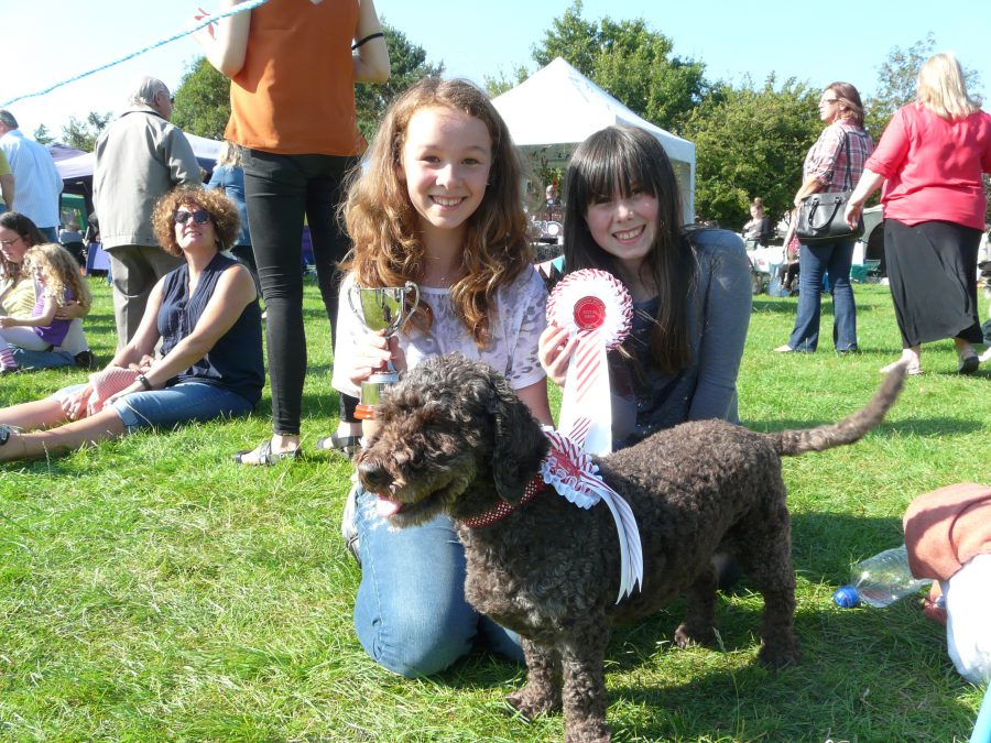 Fun Dog Show Biddenham Show 2023 Fun Dog Show Biddenham Show 2023